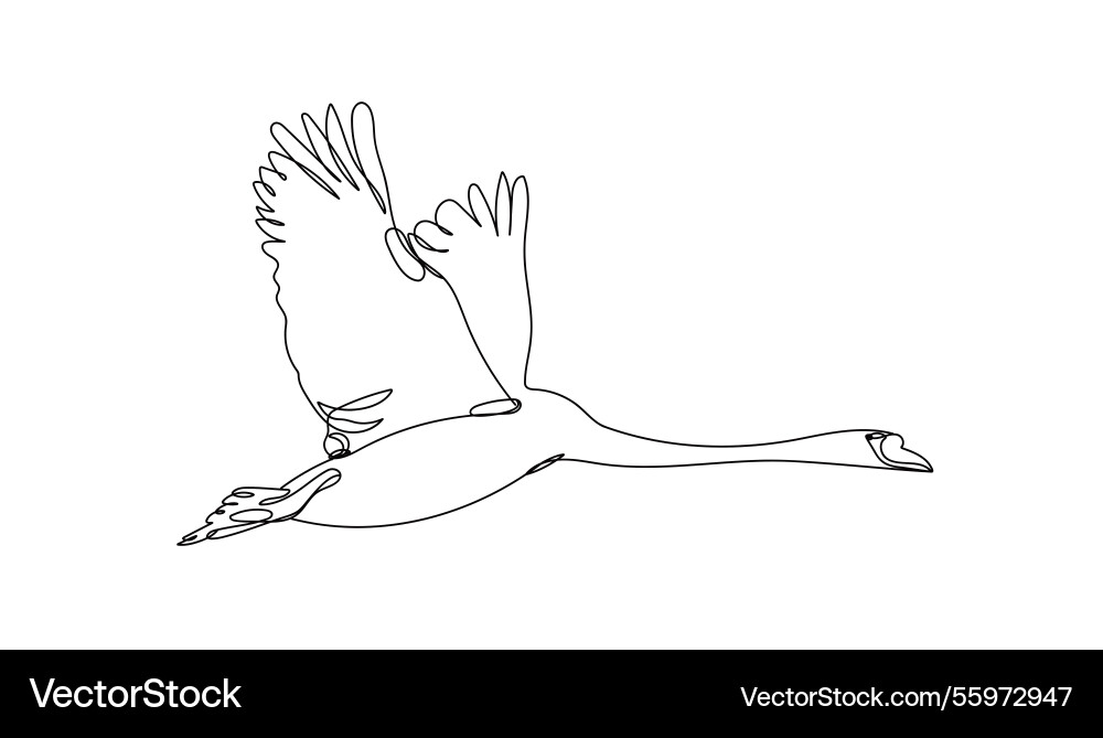 Mute swan continuous one line drawing design Vector Image
