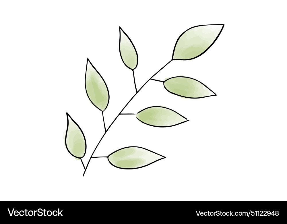 Green leaf watercolor doodle element Royalty Free Vector