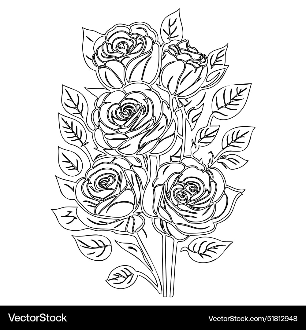 Roses flower outline sketch Royalty Free Vector Image