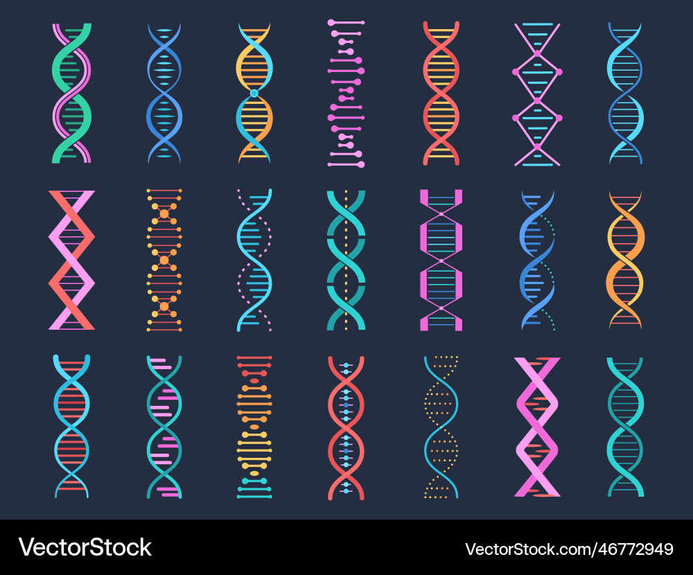 DNA Helix Gene Symbols Royalty Free Vector Image