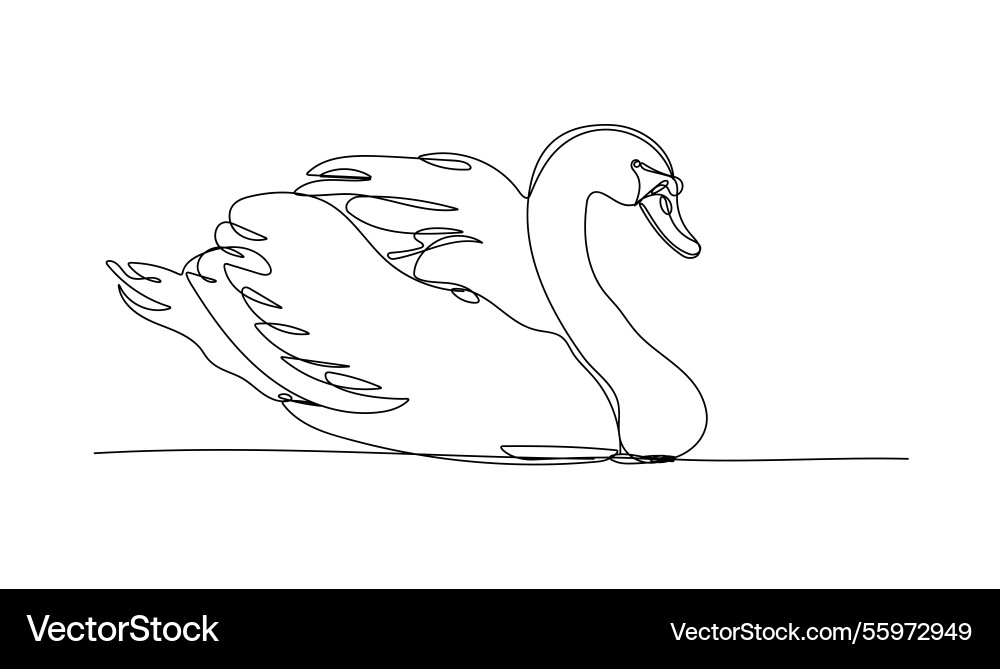 Mute swan continuous one line drawing design Vector Image