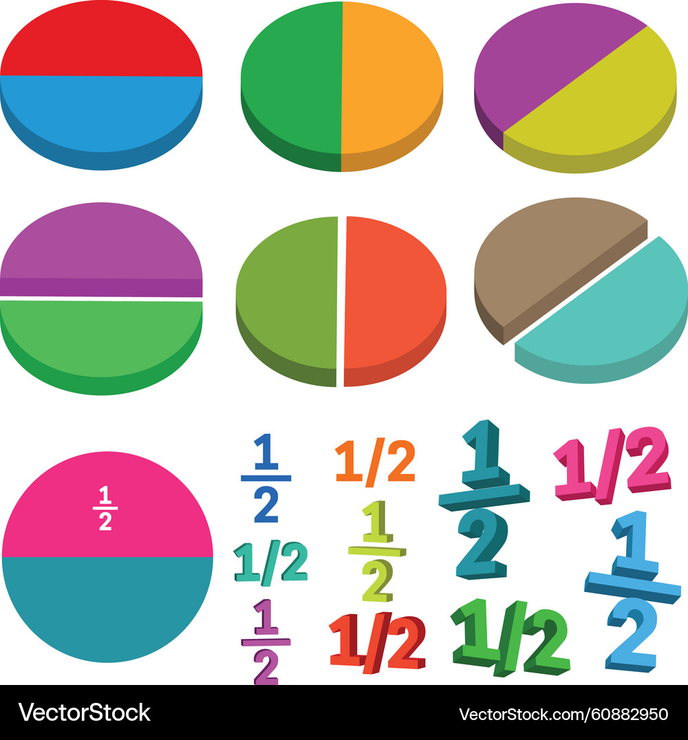 Fraction Charts: Half & Equal Parts – Royalty-Free Vector | VectorStock
