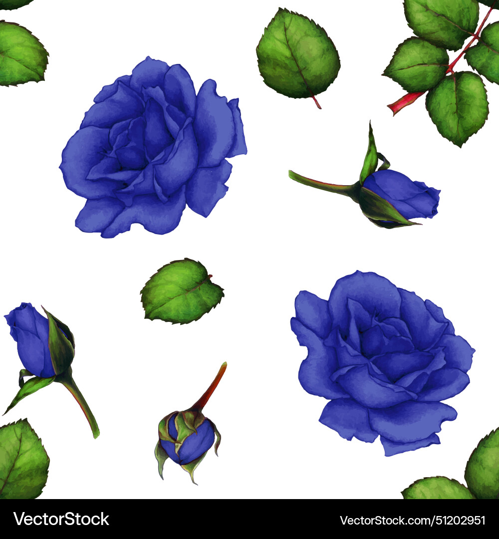 Blue roses pattern Royalty Free Vector Image - VectorStock