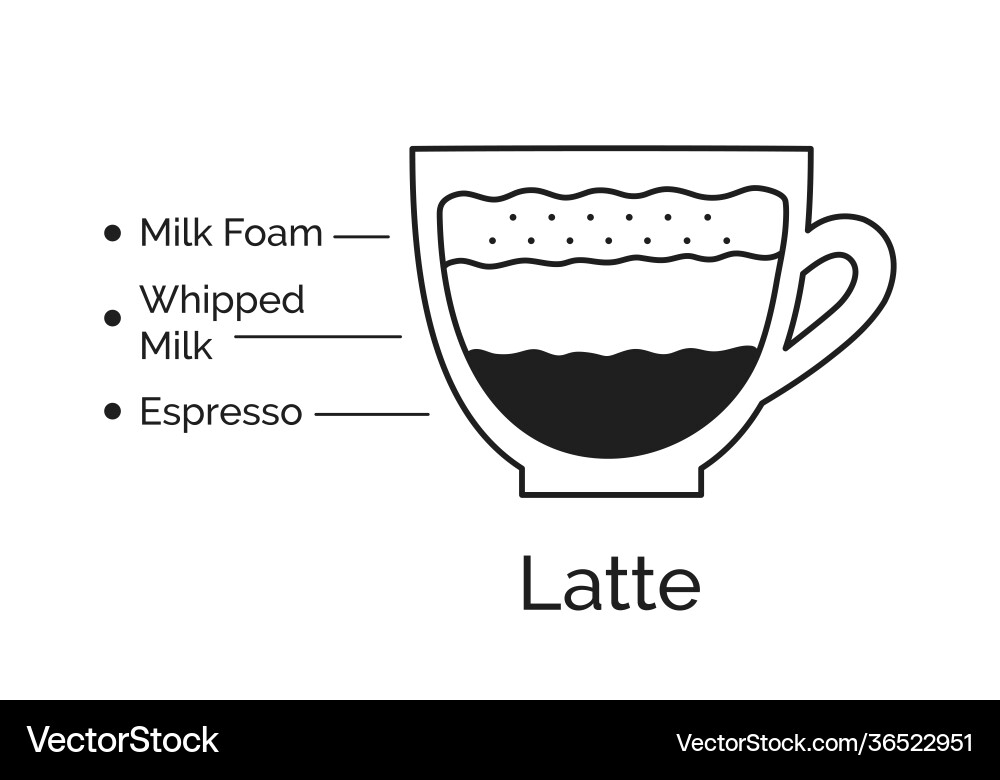 Infographic latte coffee recipe Royalty Free Vector Image