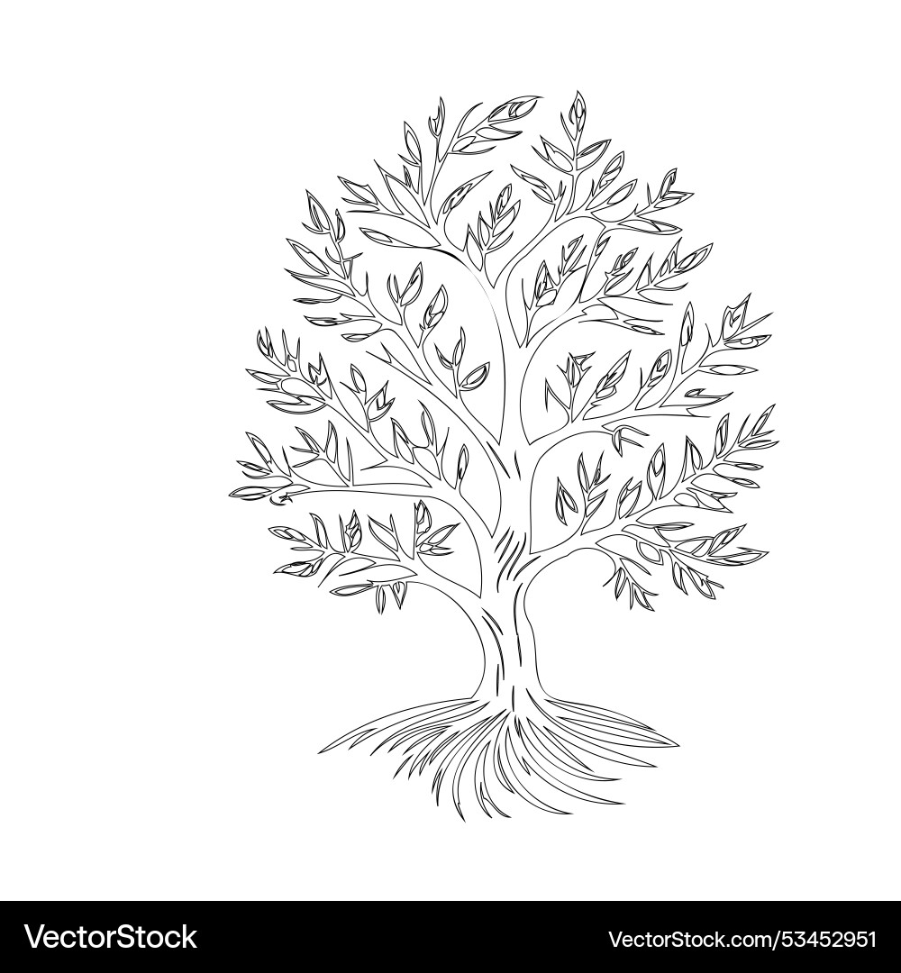Maple tree nature outline sketch Royalty Free Vector Image