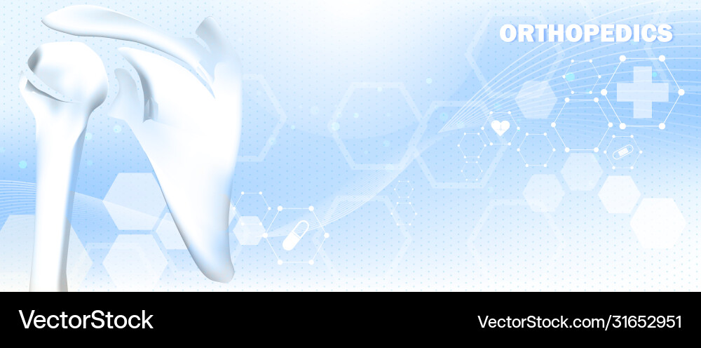 Medical orthopedic shoulder bone Royalty Free Vector Image