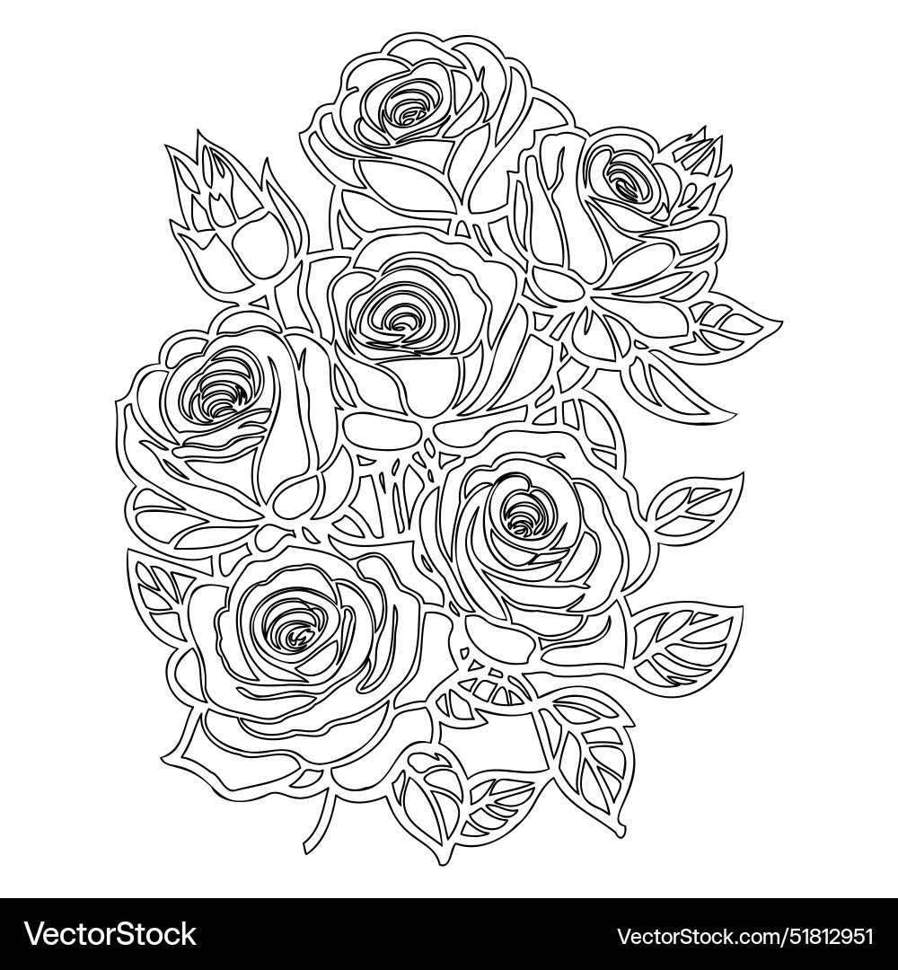 Roses flower outline sketch Royalty Free Vector Image