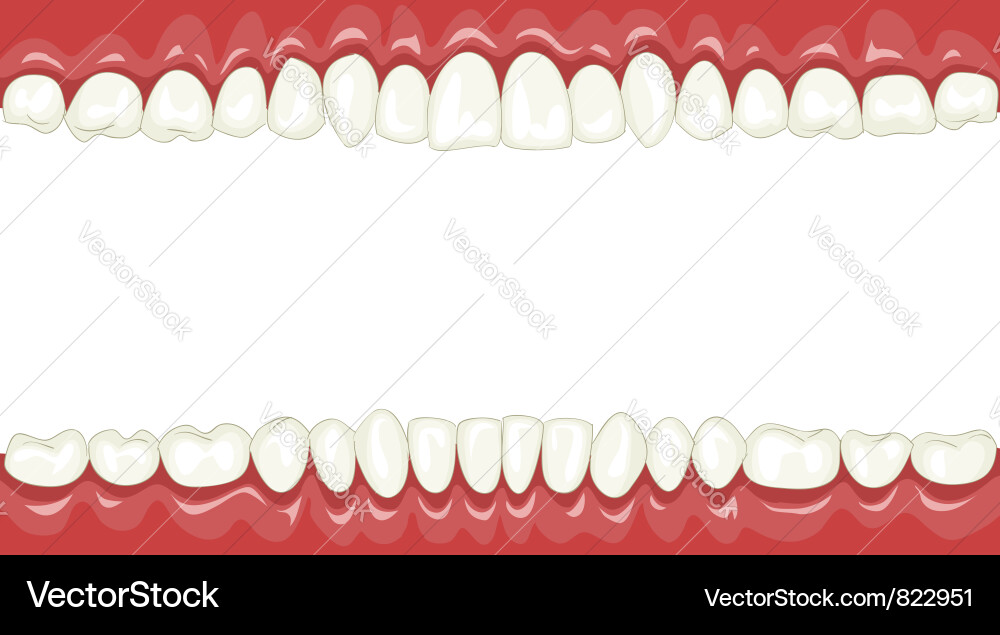 Teeth Royalty Free Vector Image - VectorStock