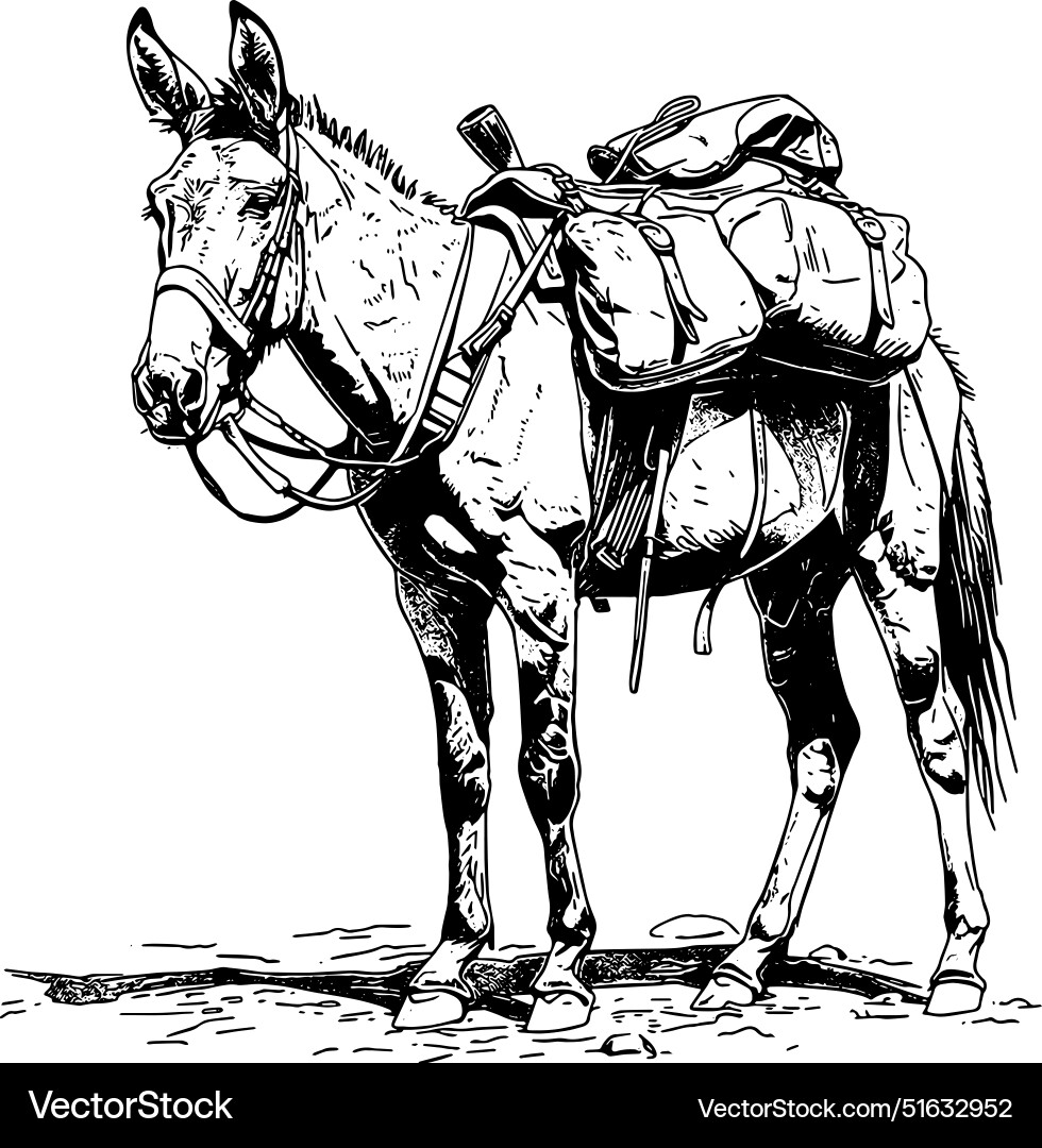 A pack mule Royalty Free Vector Image - VectorStock