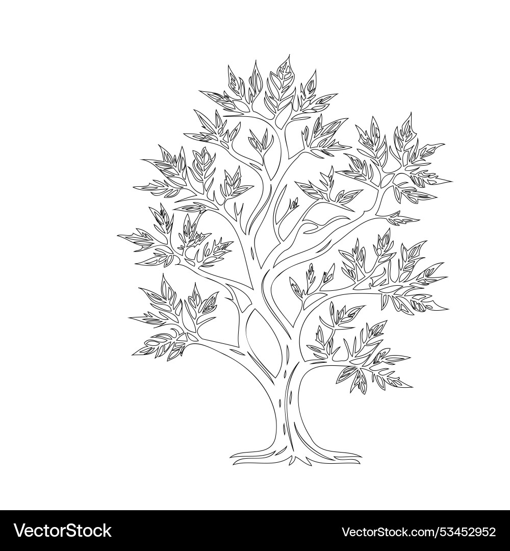 Maple tree nature outline sketch Royalty Free Vector Image
