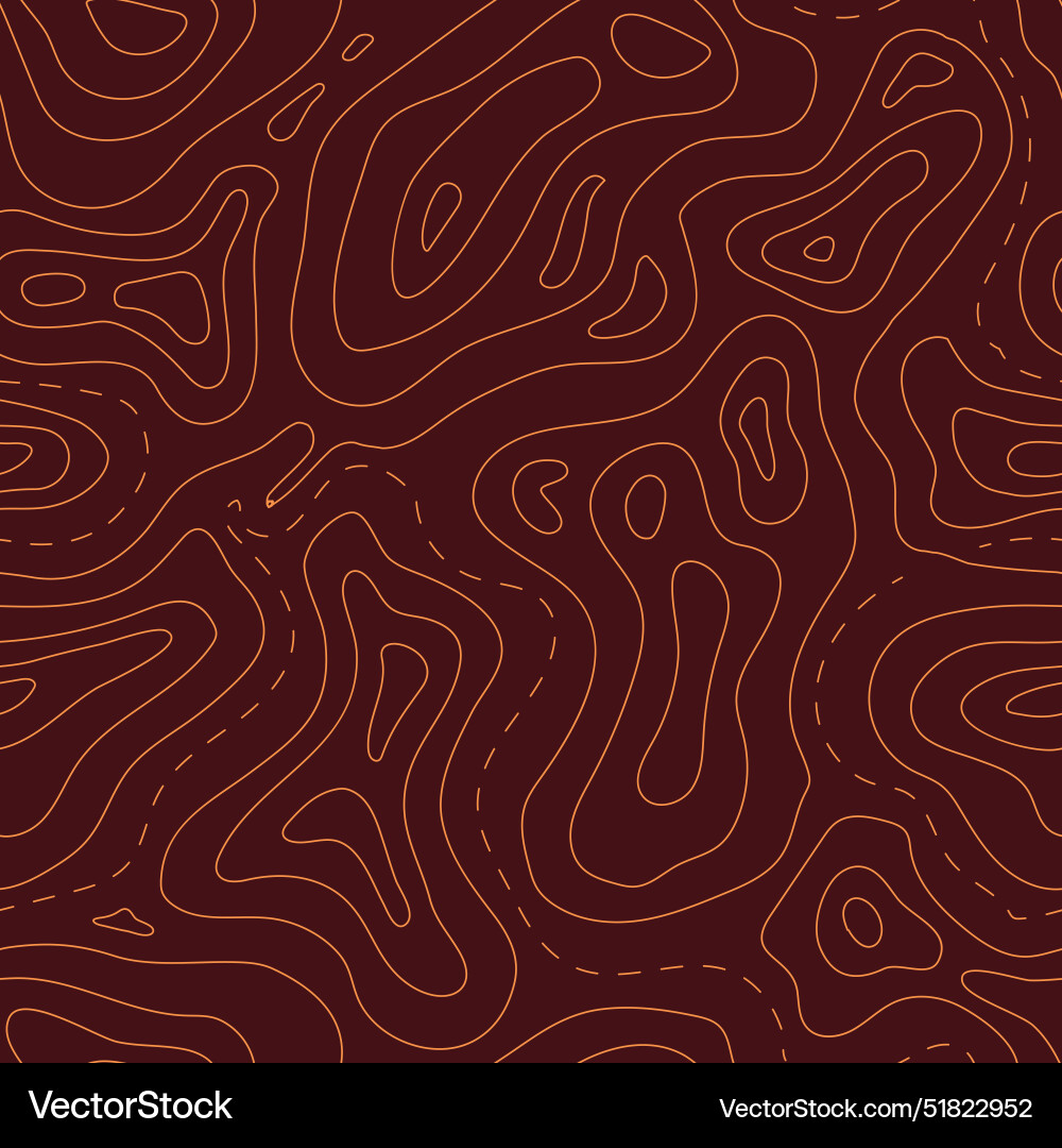 Seamless Topographic Map Pattern Design In Brown Vector Image