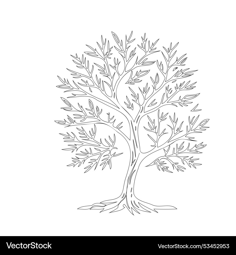 Maple tree nature outline sketch Royalty Free Vector Image