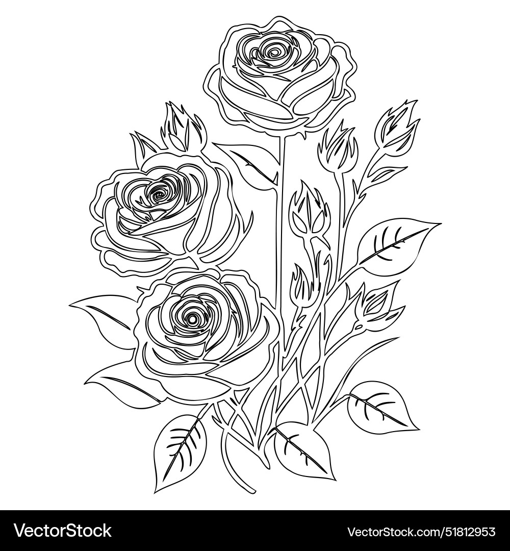 Roses flower outline sketch Royalty Free Vector Image