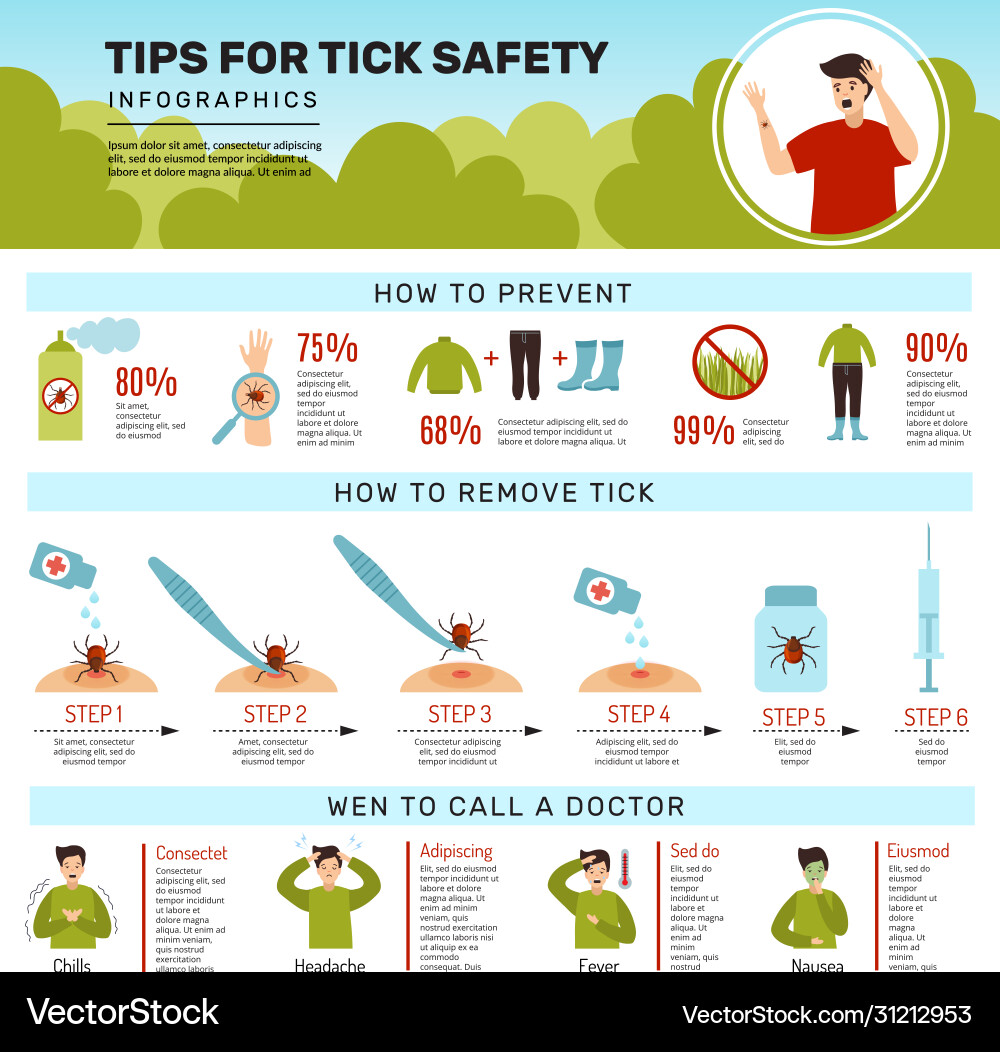 Tick bite infographic human protection from Vector Image