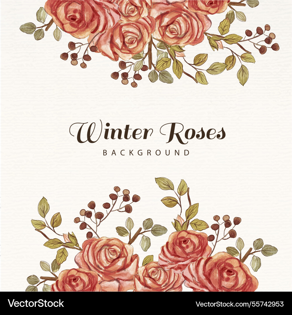Winter roses background Royalty Free Vector Image