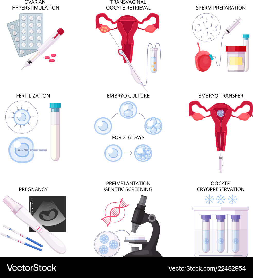 IVF Fertility Icon Set Royalty Free Vector Image