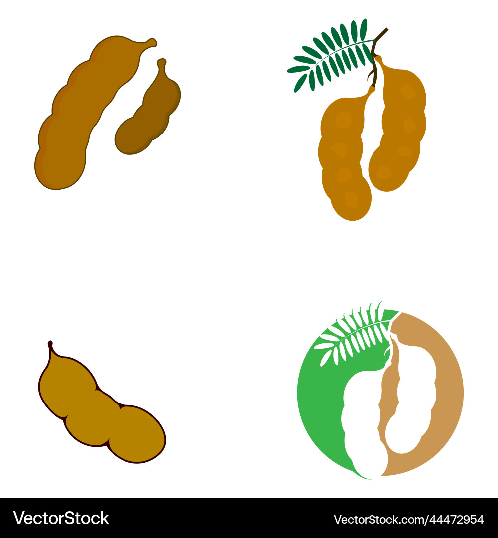 Tamarind logo icon template Royalty Free Vector Image