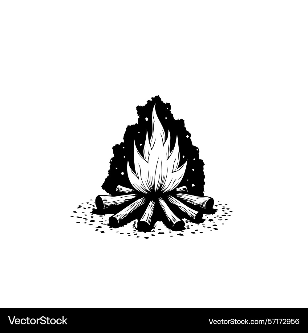 Monochrome campfire detailed black and white Vector Image