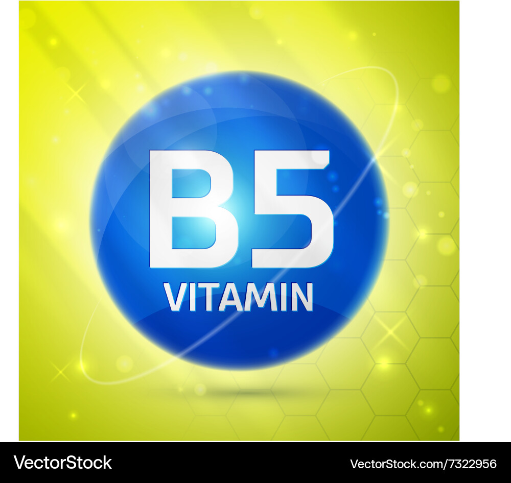 Vitamin b5 icon Royalty Free Vector Image - VectorStock