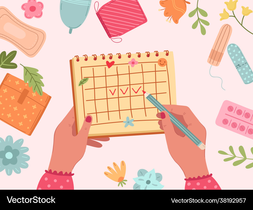 Menstruation period female menstrual cycle Vector Image