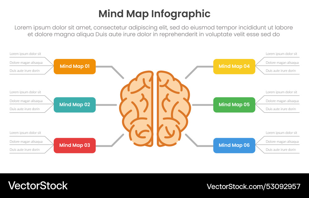 Mind map infographic template banner information Vector Image