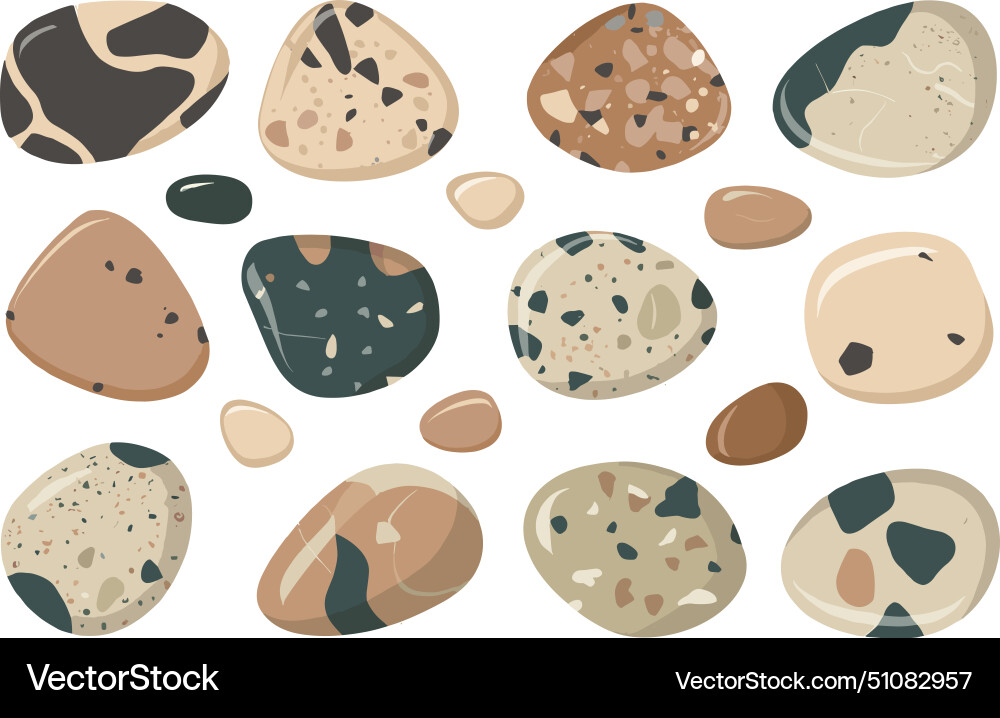 Pebbles small beach stones smooth cobbles group Vector Image