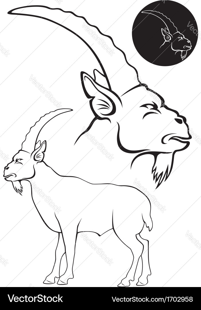 Goat Royalty Free Vector Image - VectorStock
