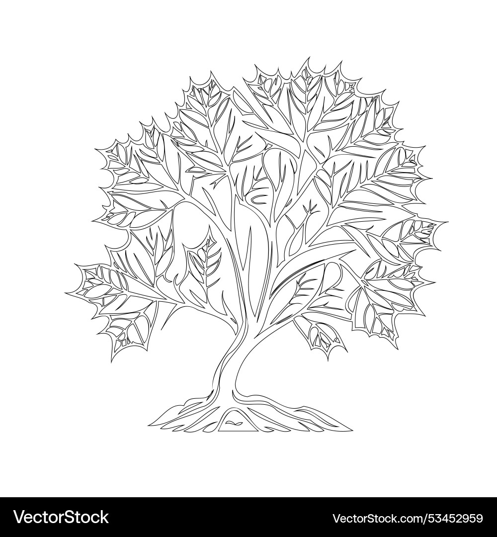 Maple tree nature outline sketch Royalty Free Vector Image