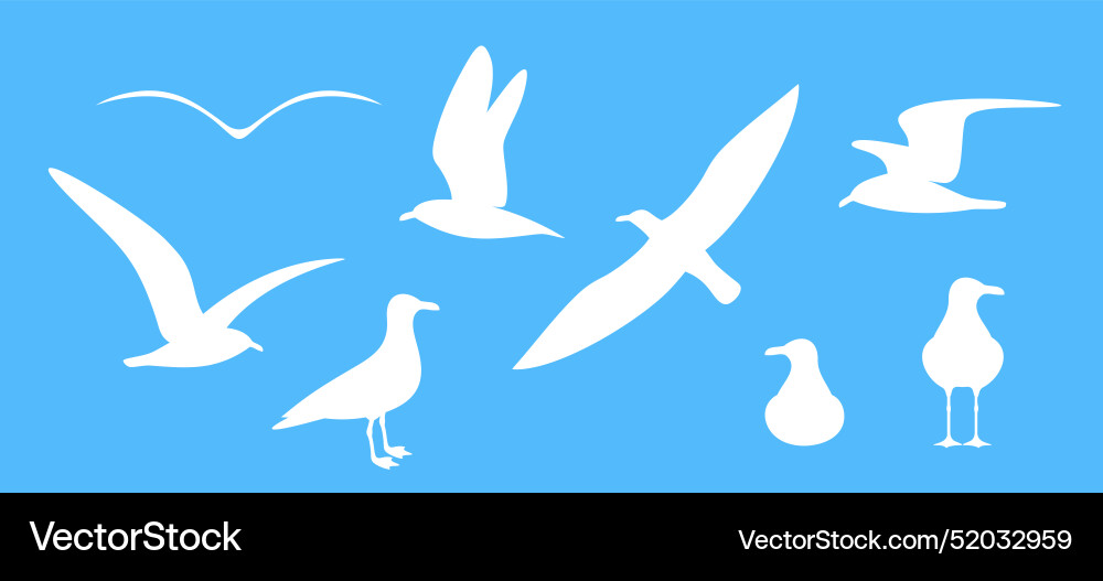 Seagull Royalty Free Vector Image - VectorStock