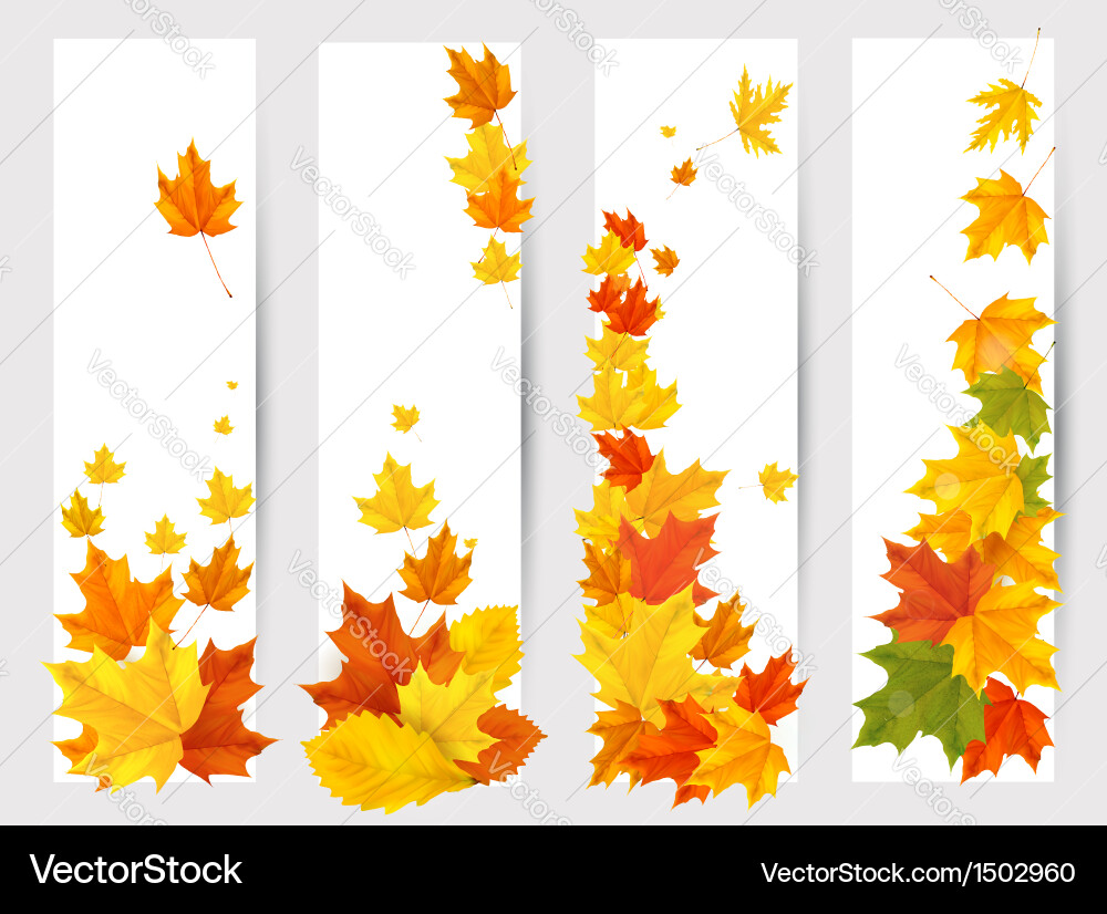 Autumn leaves banners Royalty Free Vector Image