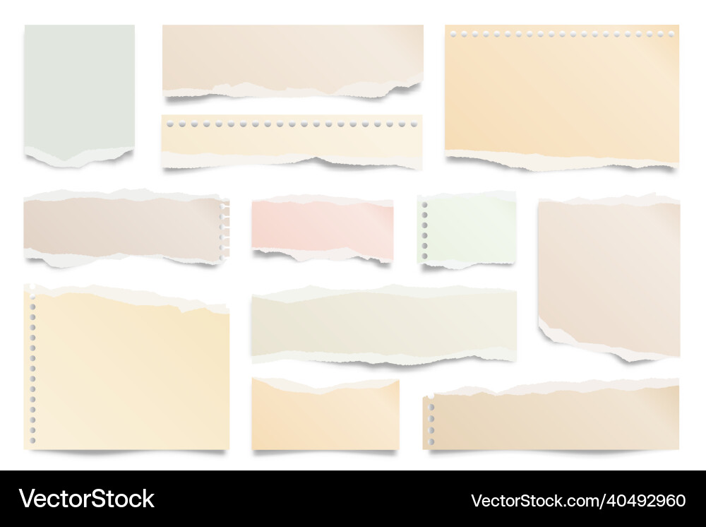 Colorful ripped paper strips isolated on white Vector Image