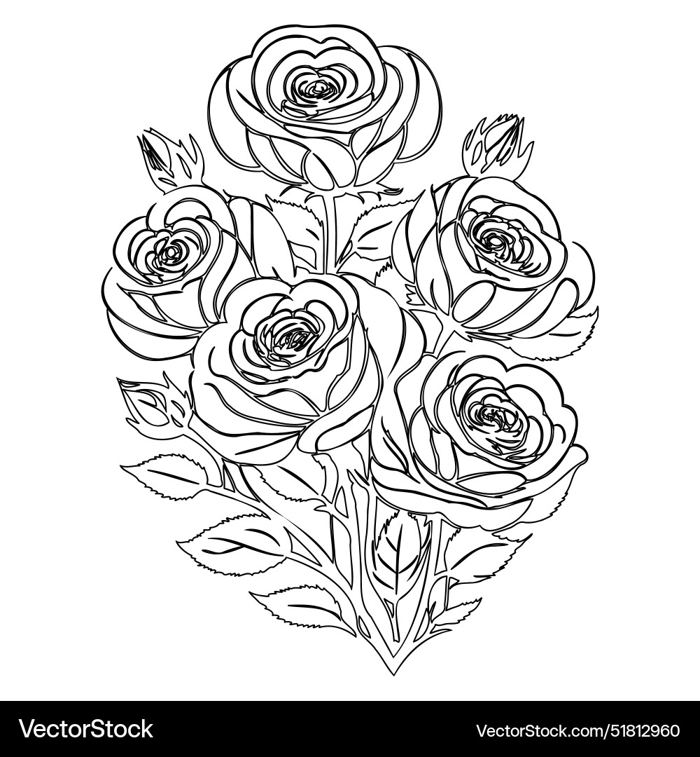 Roses flower outline sketch Royalty Free Vector Image