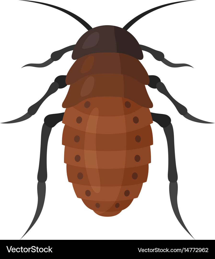 Cockroach-Symbol auf weißem Hintergrund Vektorbild