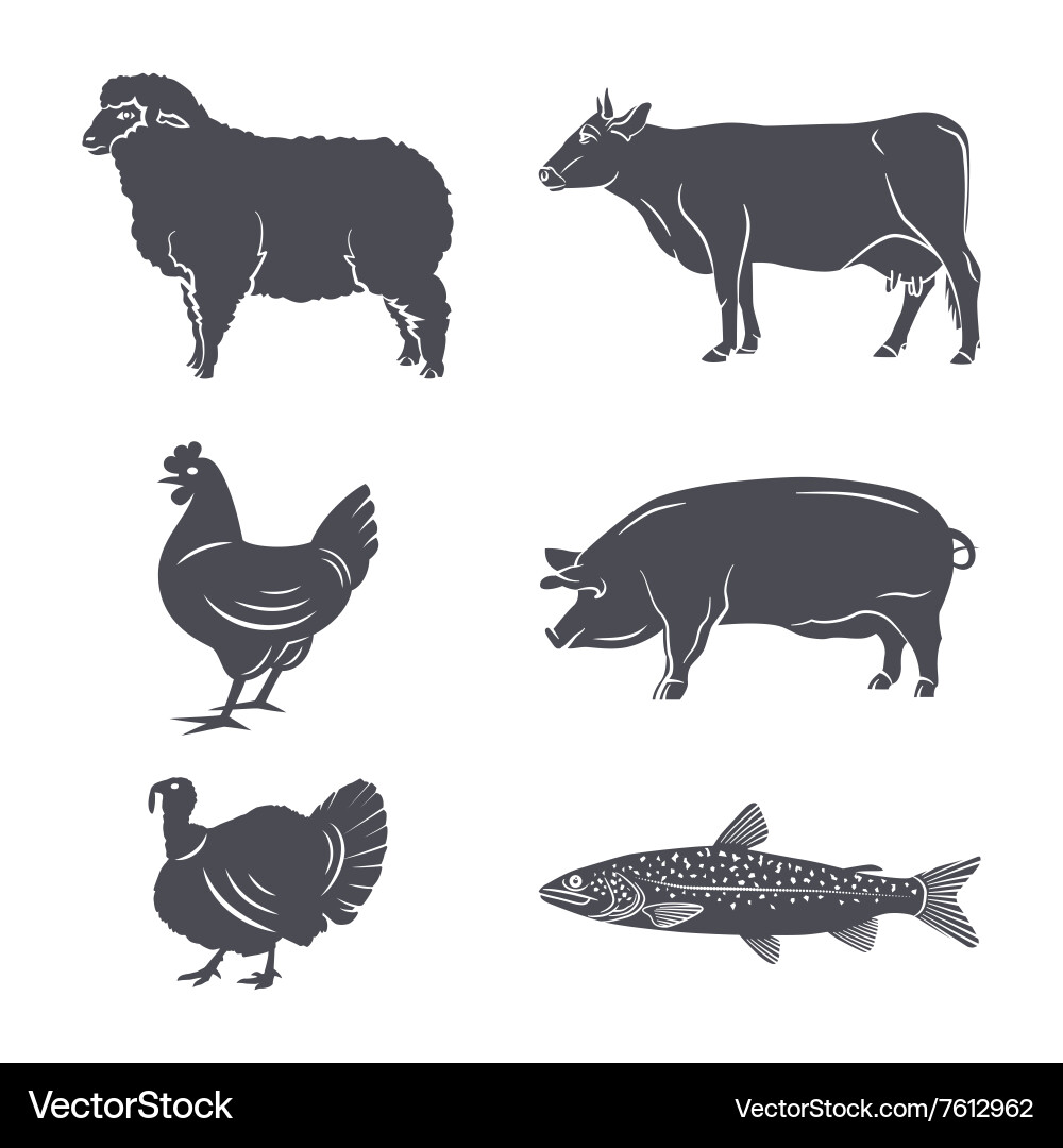 Farm animals Royalty Free Vector Image - VectorStock