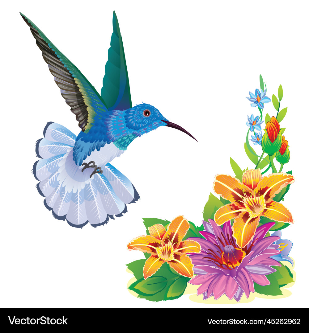 Hummingbird Over Flower Royalty Free Vector Image