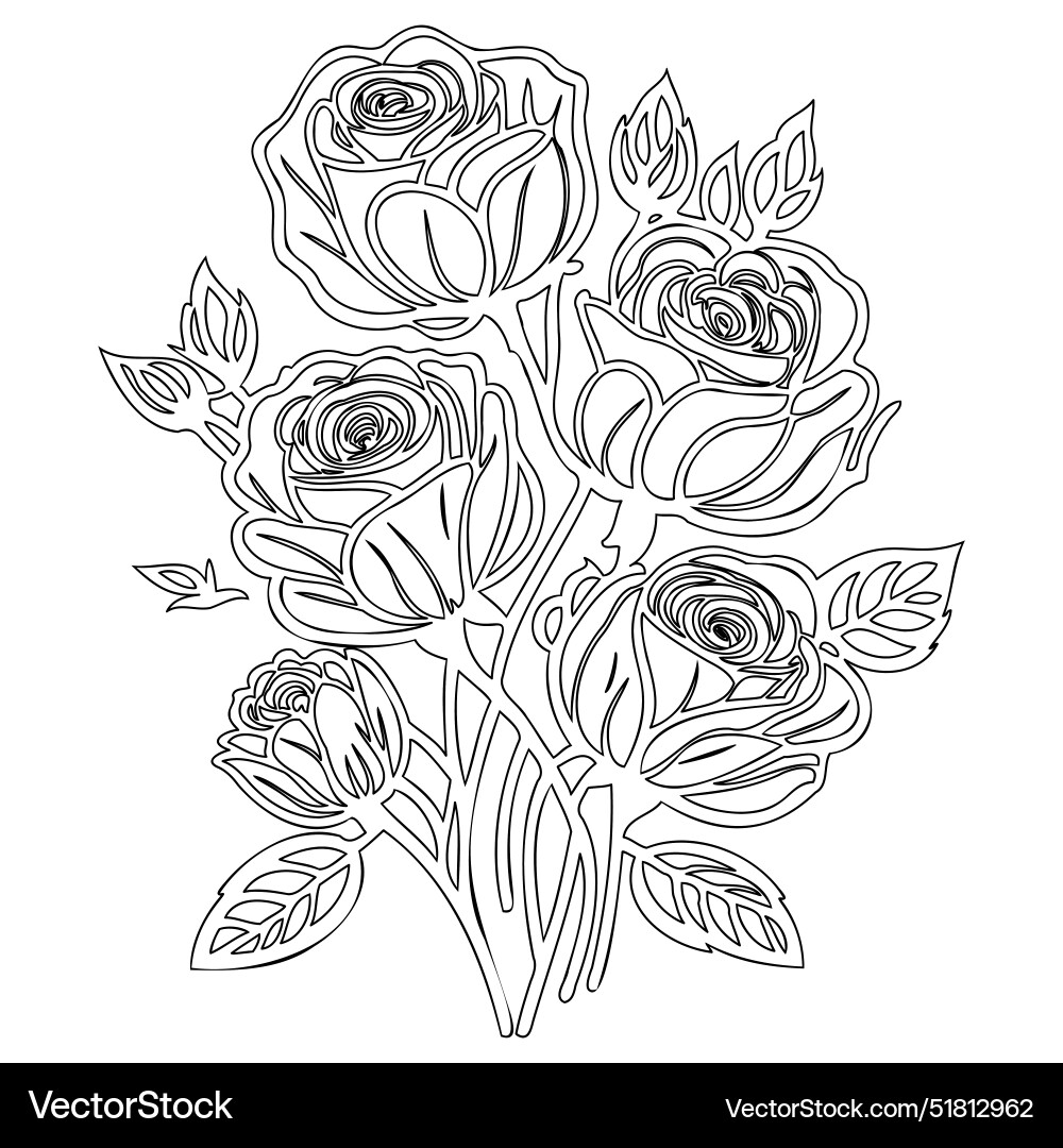 Roses flower outline sketch Royalty Free Vector Image
