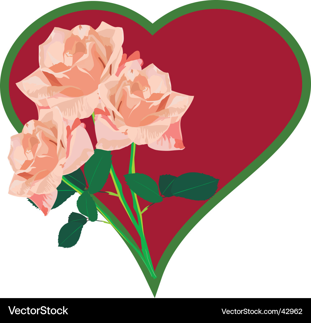 Three roses Royalty Free Vector Image - VectorStock