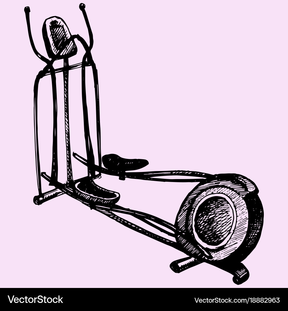 Cross trainer Royalty Free Vector Image - VectorStock