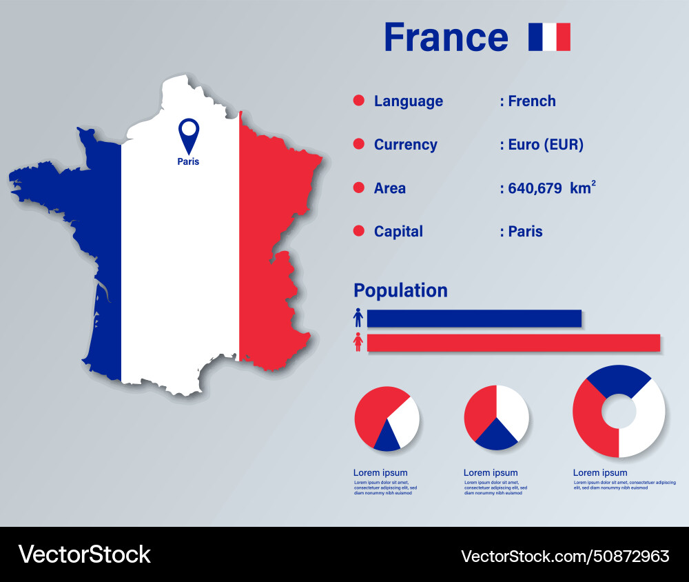 France infographic Royalty Free Vector Image - VectorStock