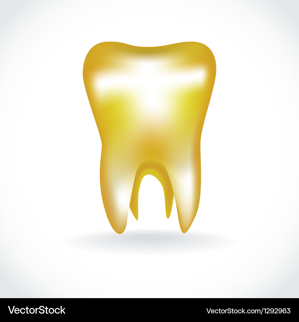 Golden tooth Royalty Free Vector Image - VectorStock