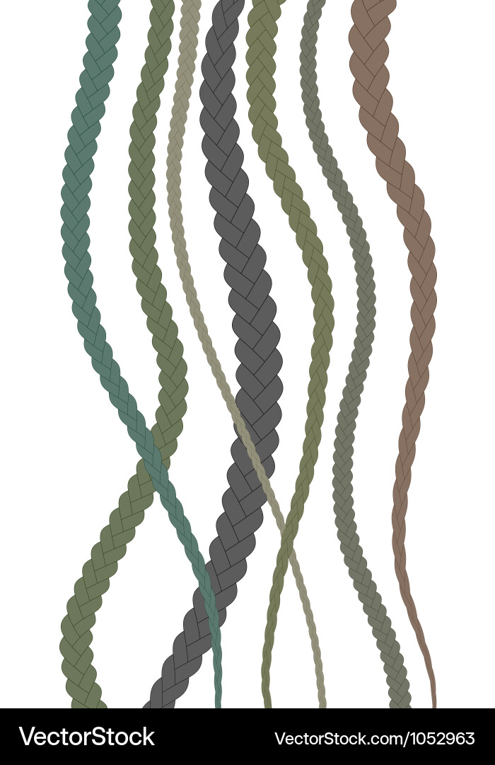 Hair braids Royalty Free Vector Image - VectorStock