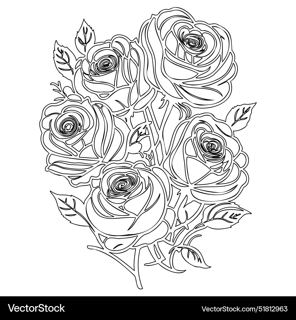 Roses flower outline sketch Royalty Free Vector Image