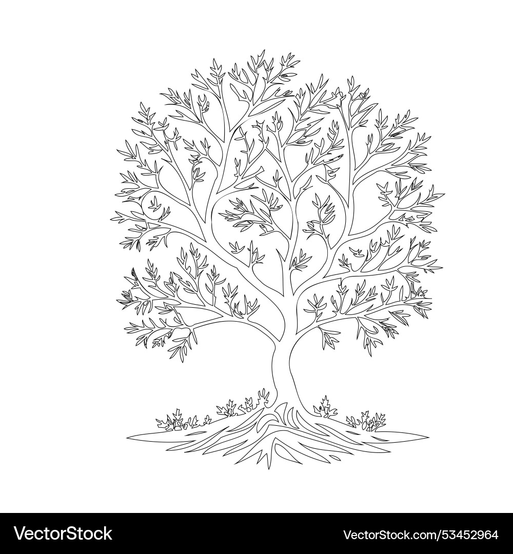 Maple tree nature outline sketch Royalty Free Vector Image