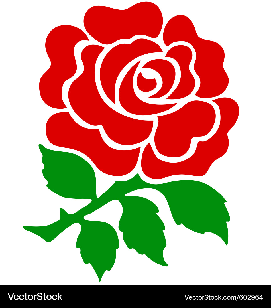 England Rose Vector Images (over 280)