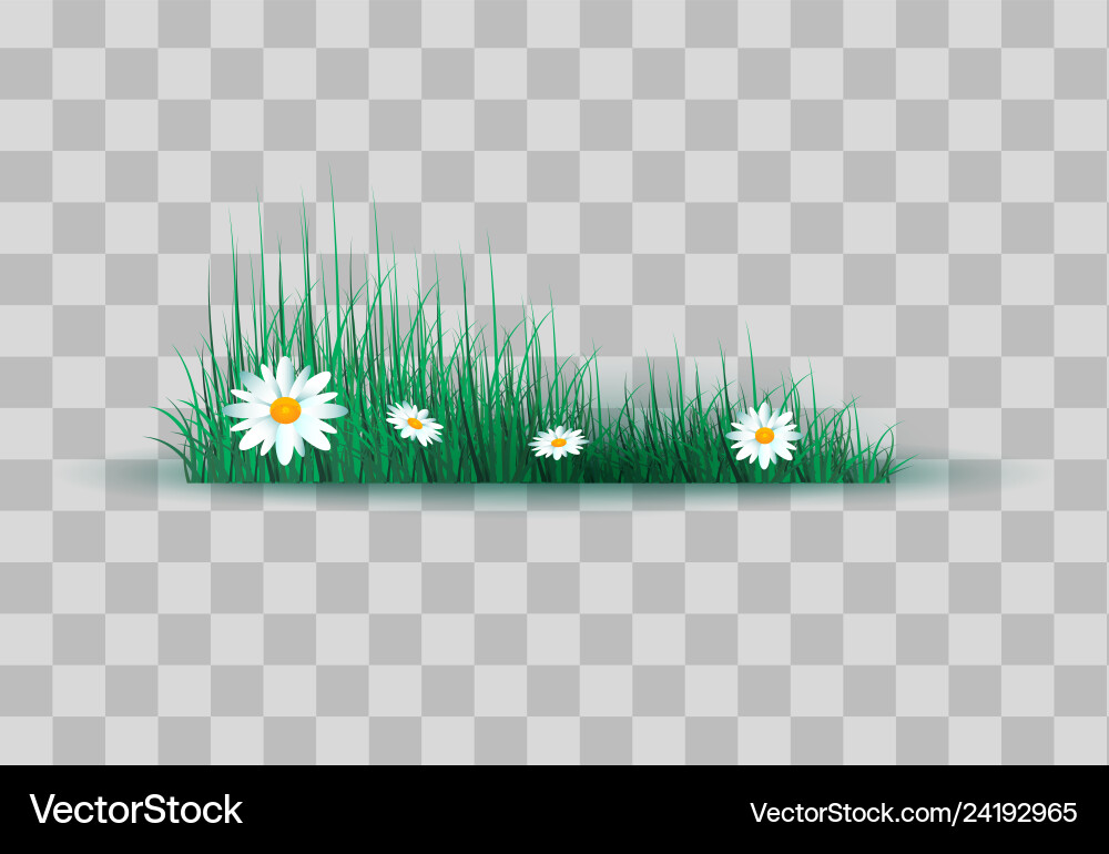 Green grass on a transparent Royalty Free Vector Image
