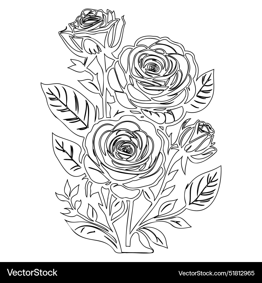 Roses flower outline sketch Royalty Free Vector Image