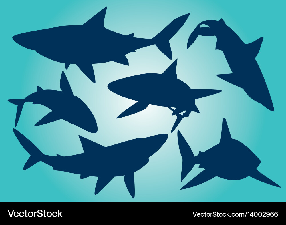 Haie Lizenzfreies Vektorbild - VectorStock