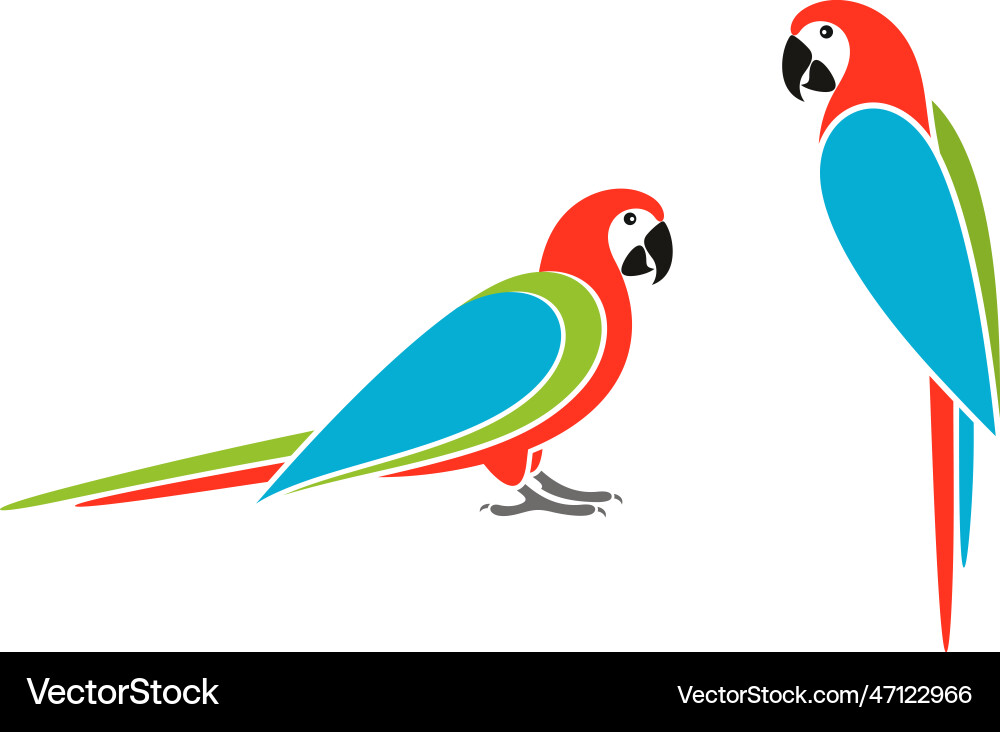 Parrot Royalty Free Vector Image - VectorStock