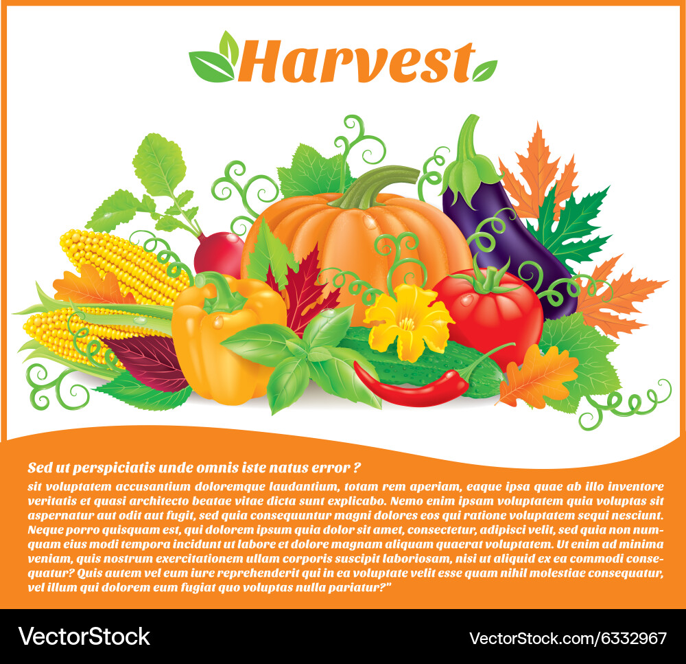 Harvest banner with text Royalty Free Vector Image
