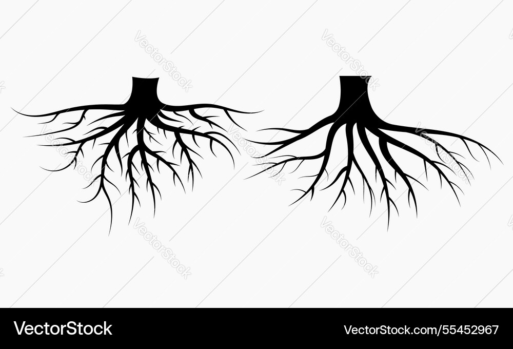 Minimalist black and white tree with simple roots Vector Image